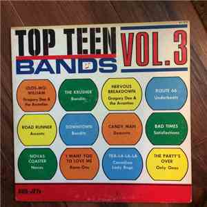 Various - Top Teen Bands Vol. 3